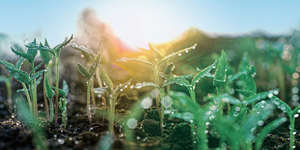 Realism sets in | Articles | Coronation SA